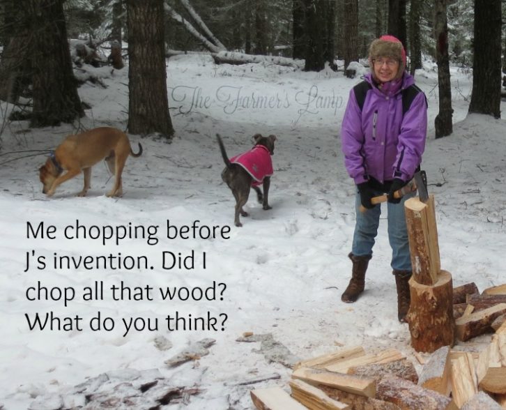 How We Chop Wood To Save Time And Energy ~ | The Farmer's Lamp