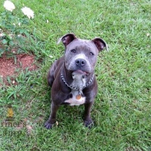 Sustainable Living | TheFarmersLamp.com