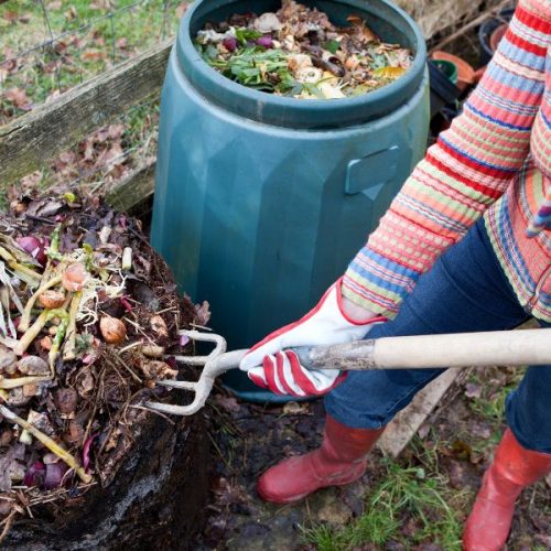 Cheap, Fast, Relatively Free Fertilizer