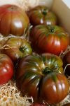 Your Guide To The Ananas Noire Tomato | The Farmer's Lamp