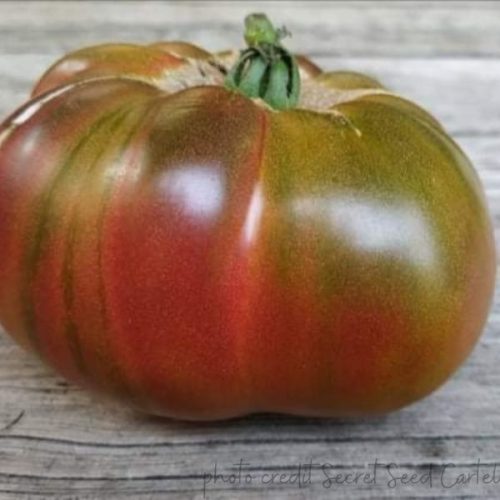 Your Guide To The Ananas Noire Tomato | The Farmer's Lamp
