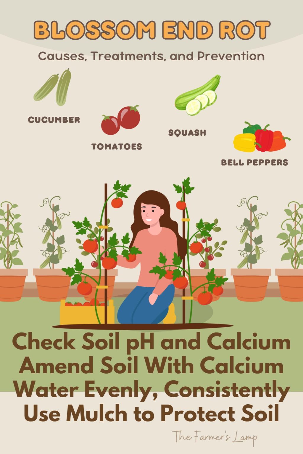Blossom End Rot: Causes, Treatment, And Prevention