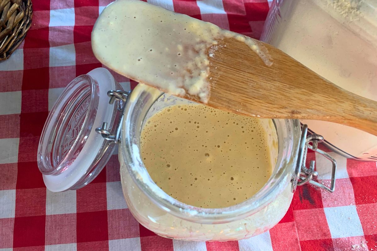 Mastering Einkorn Sourdough Starter: A Guide For Family Bakers