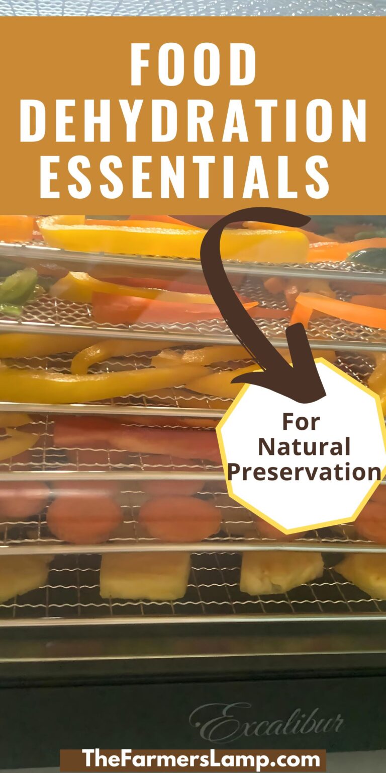 Food Dehydration Essentials For Natural Preservation