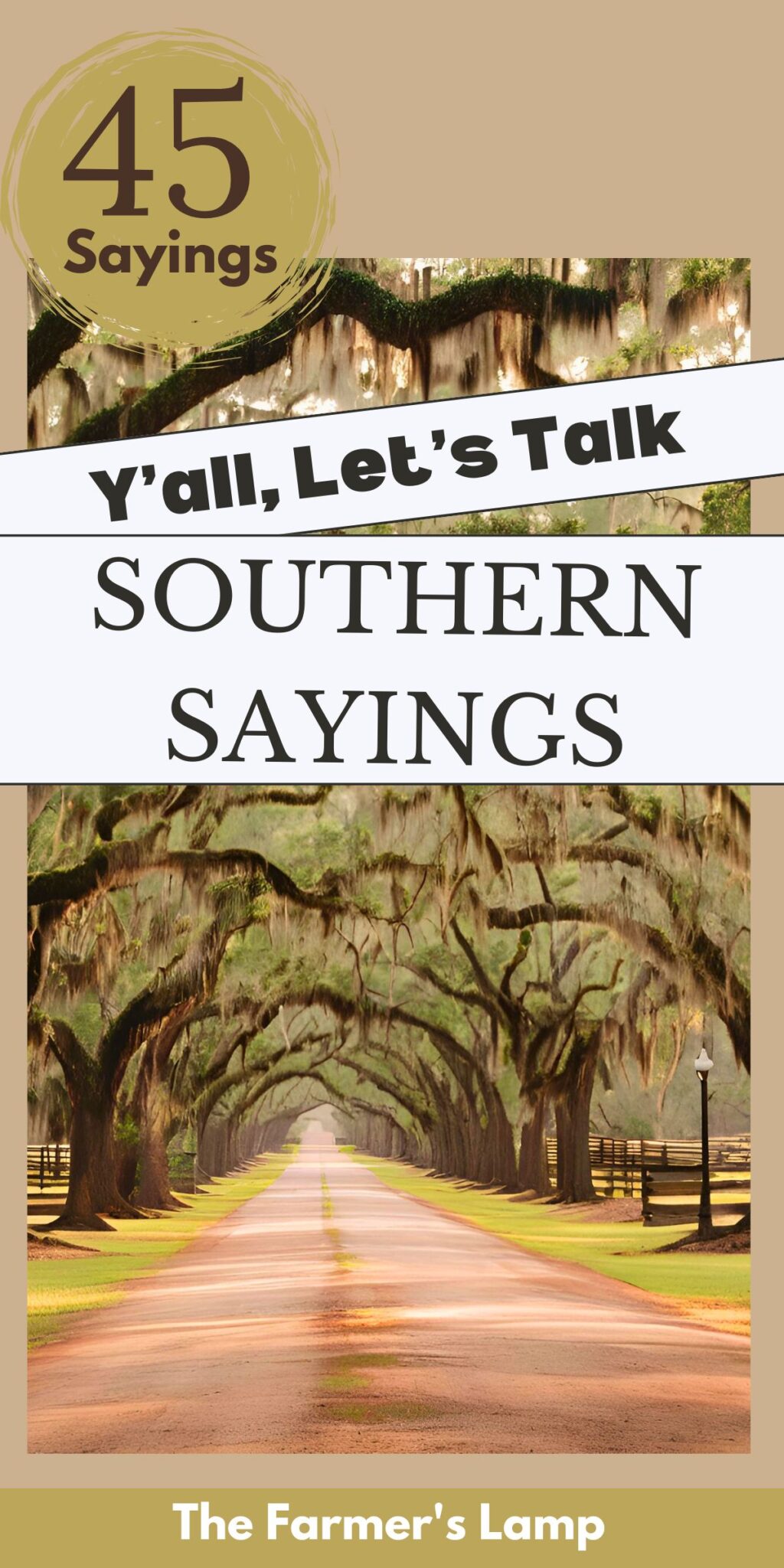 Let's Talk Southern Sayings (Sayin's)